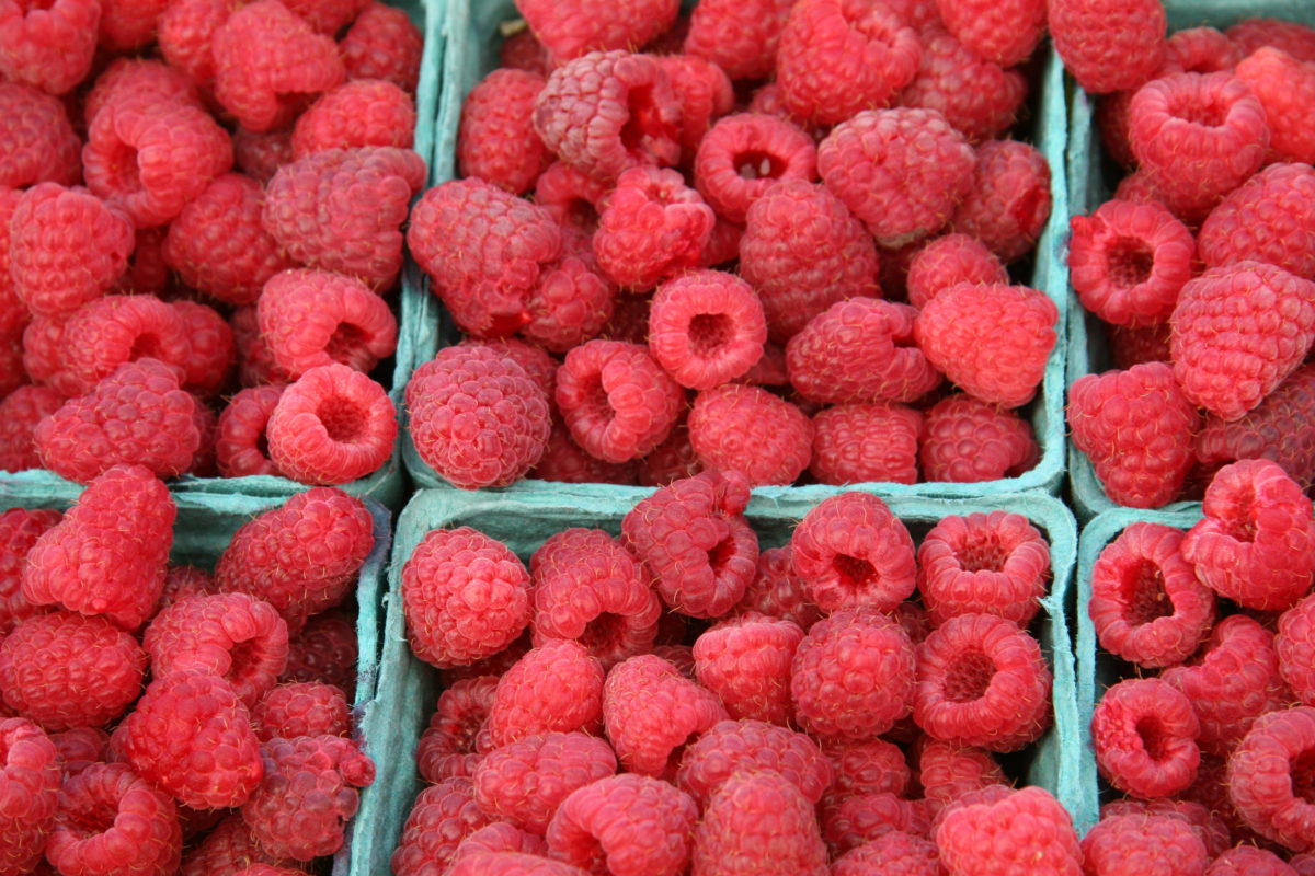 Grants - SARE Western