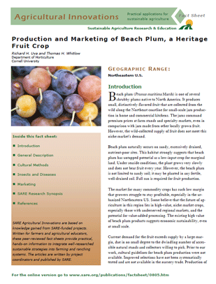 Production and Marketing of Beach Plum, a Heritage Fruit Crop - SARE