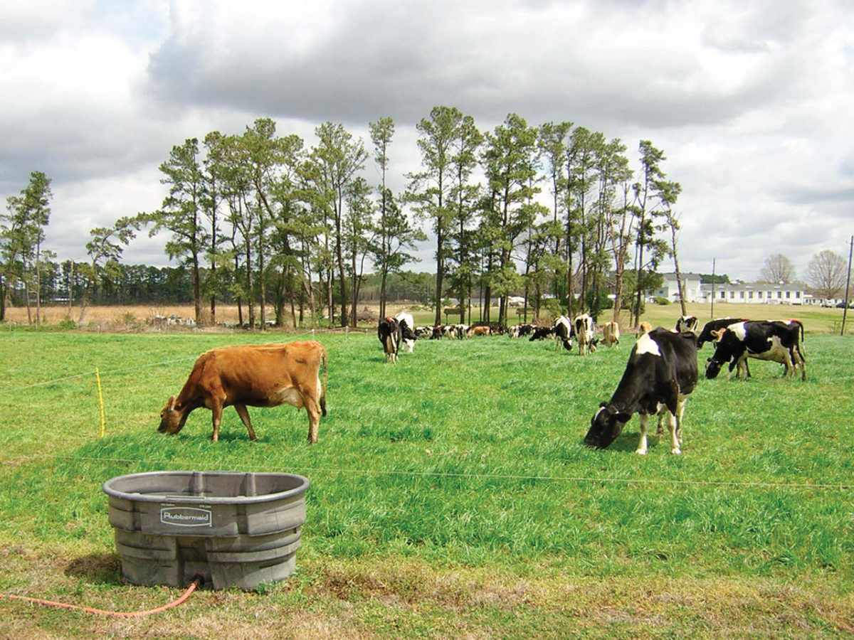 Agroecosystems - SARE