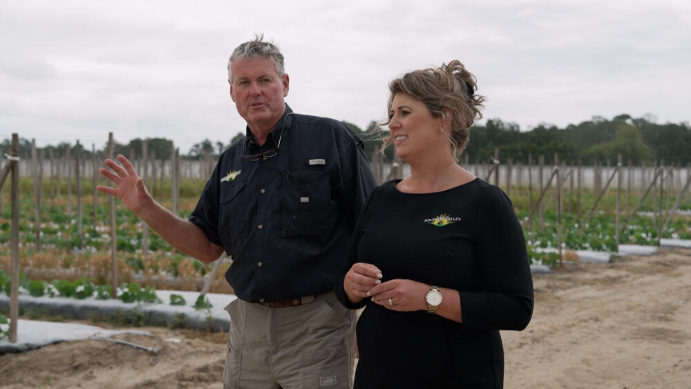 Sustainable Agriculture Research and Education - SARE