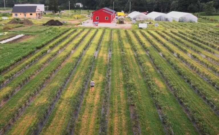 Sustainable Agriculture Research and Education - SARE