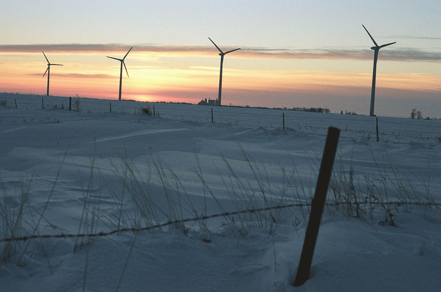 Working with Rural Utilities: What's the Buzz? - SARE