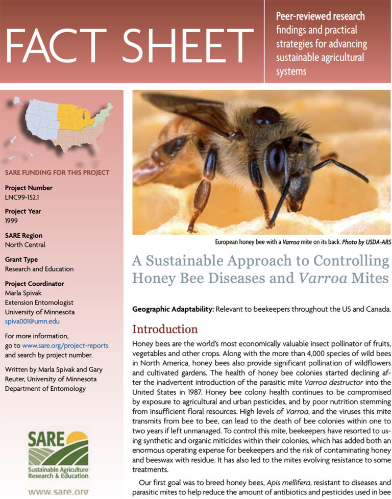Testing Honey Bee Colonies for Hygienic Behavior - SARE
