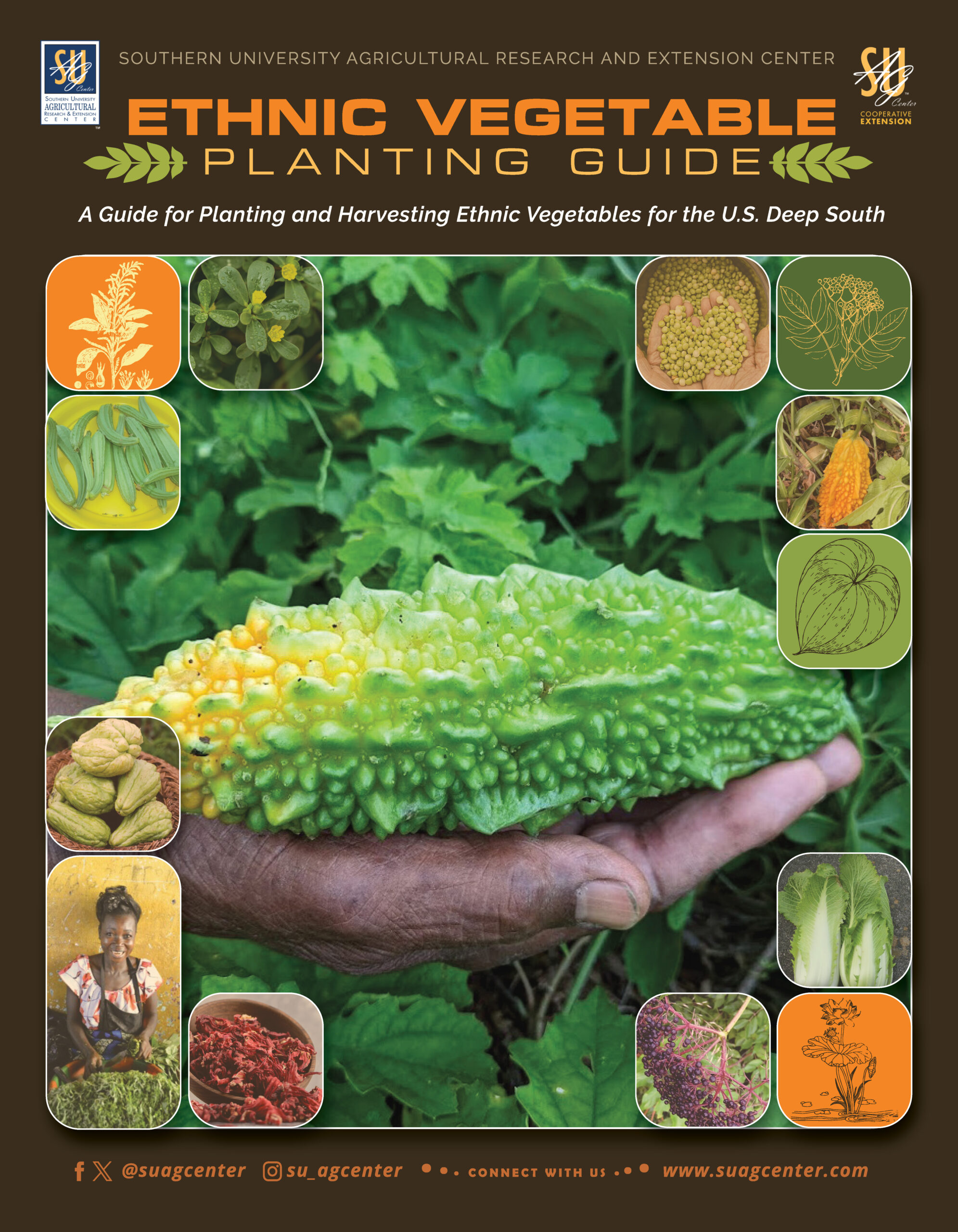 Vegetable Planting Guide For
