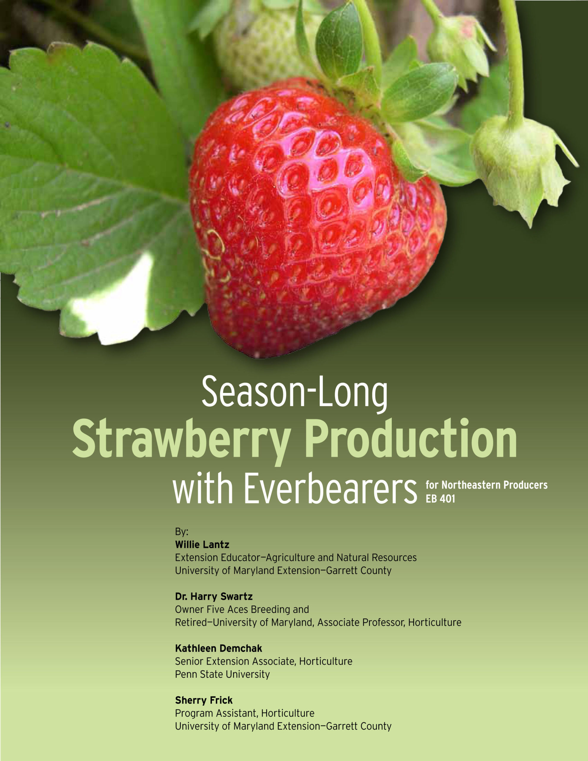 Season-Long Strawberry Production with Everbearers for Northeastern ...