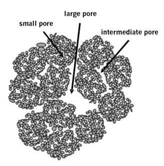 Crop Rotation and Soil Tilth - SARE