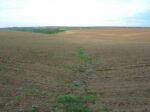 Ch 6. Soil Degradation: Erosion, Compaction, and Contamination - SARE