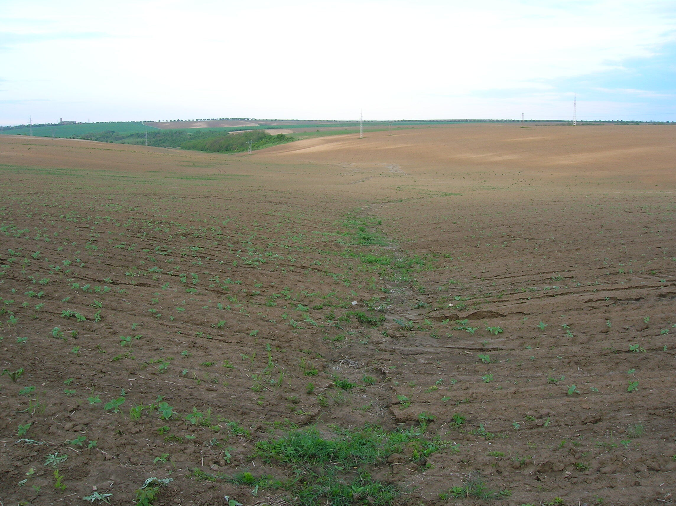 Ch 6. Soil Degradation: Erosion, Compaction, and Contamination - SARE