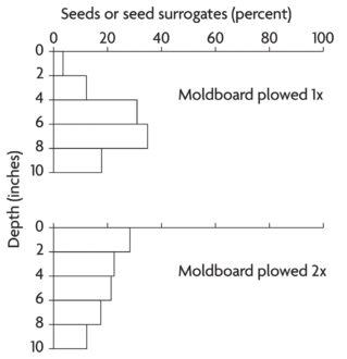Ch 4. Mechanical and Other Physical Weed Management - SARE