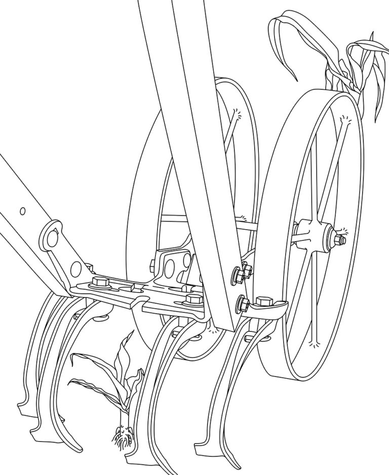 Ch 4. Mechanical and Other Physical Weed Management - SARE