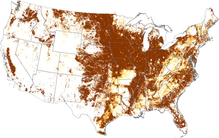 Farming Practices That Can Put Soil Health at Risk - SARE