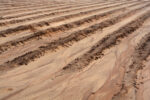 Farming Practices That Can Put Soil Health at Risk - SARE