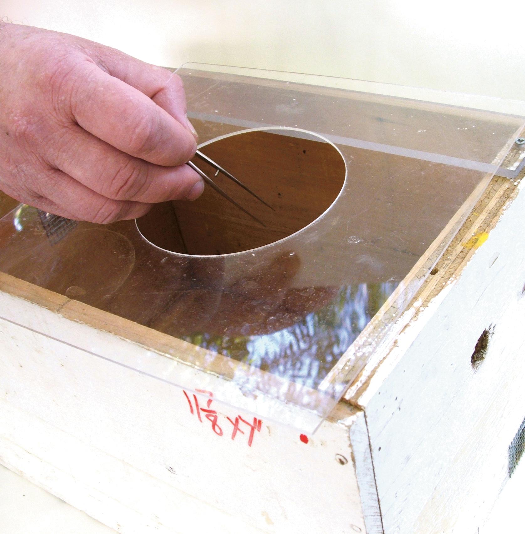 Raising Bumble Bees - SARE