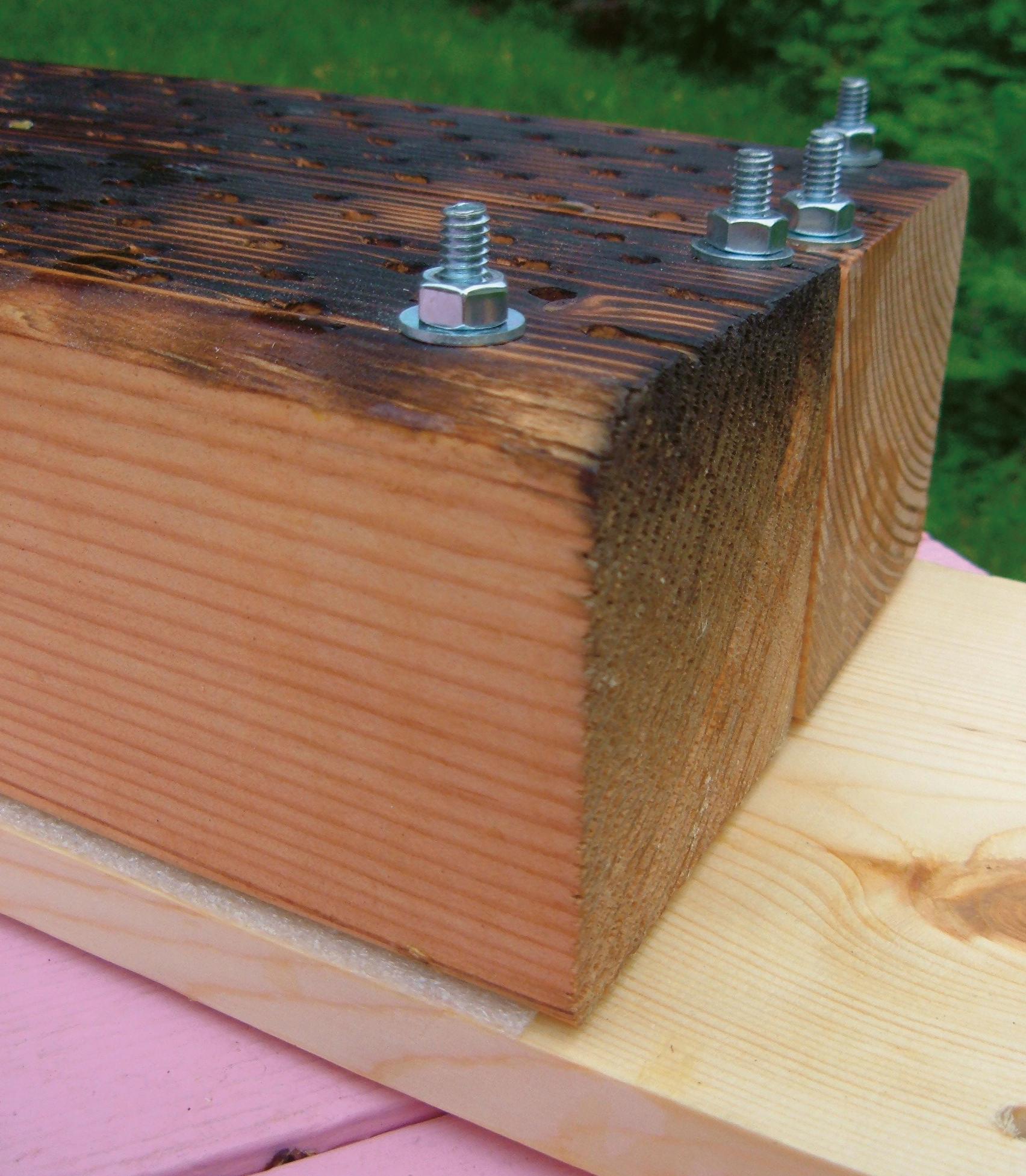 Appendix E: Hybrid Nest Blocks for Cavity-Nesting Bees - SARE