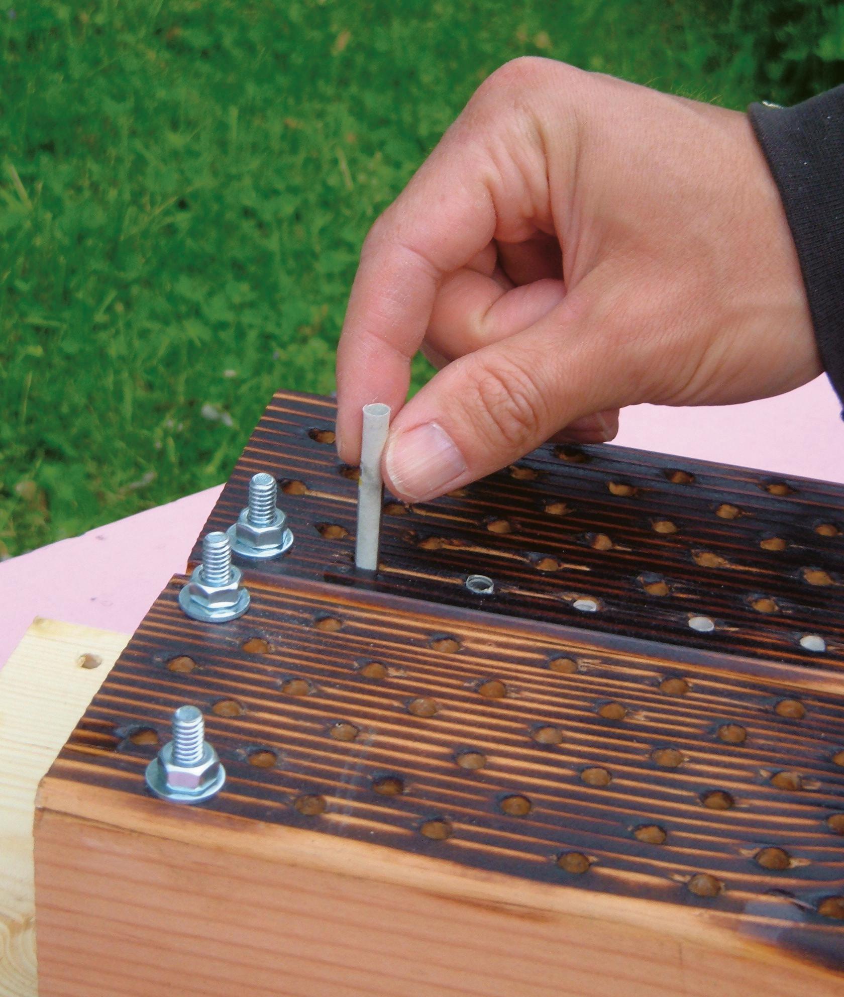 Appendix E: Hybrid Nest Blocks for Cavity-Nesting Bees - SARE