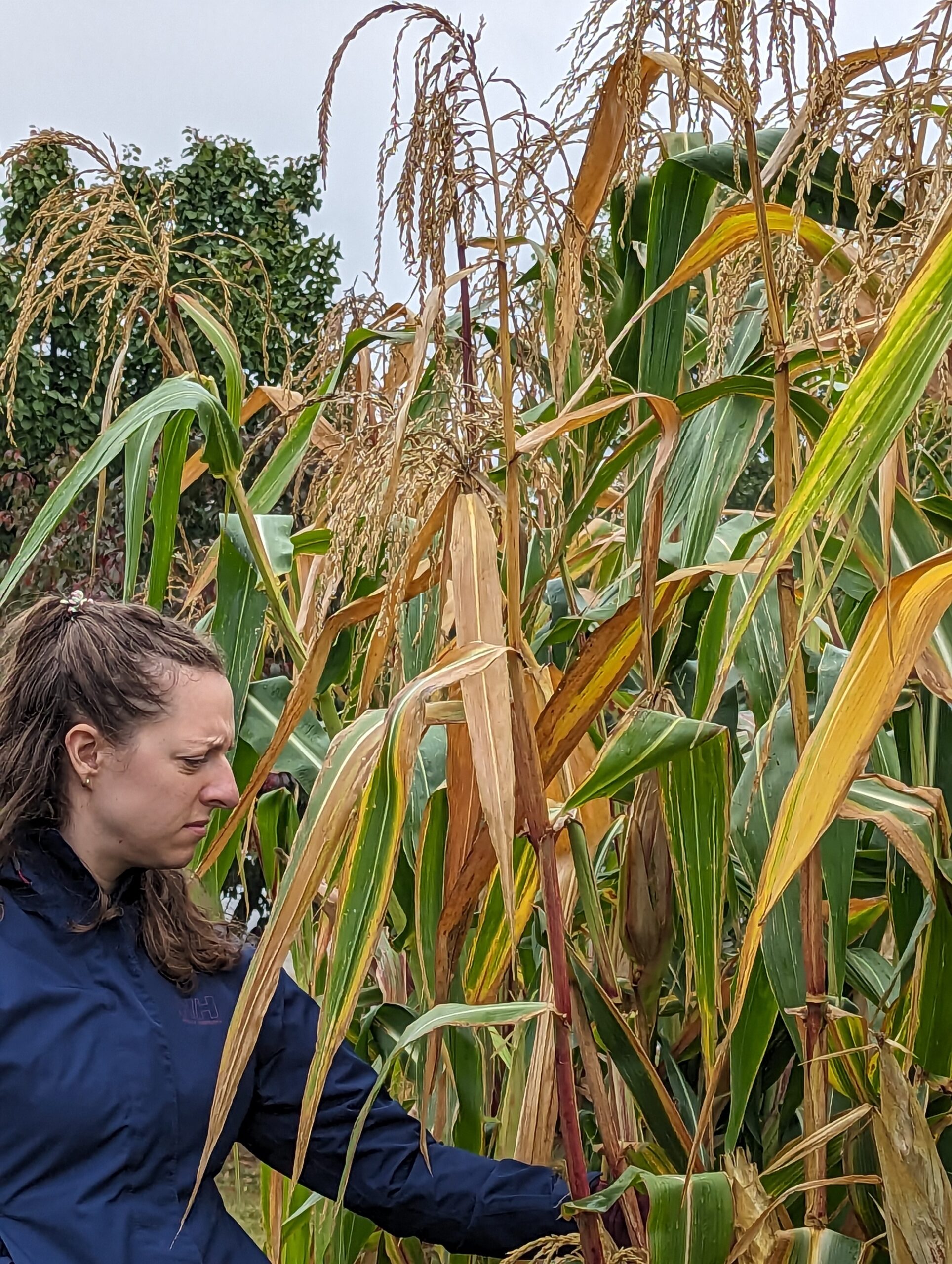 Water and Wonderment Abounds on WI State Tour for SARE Fellows - SARE