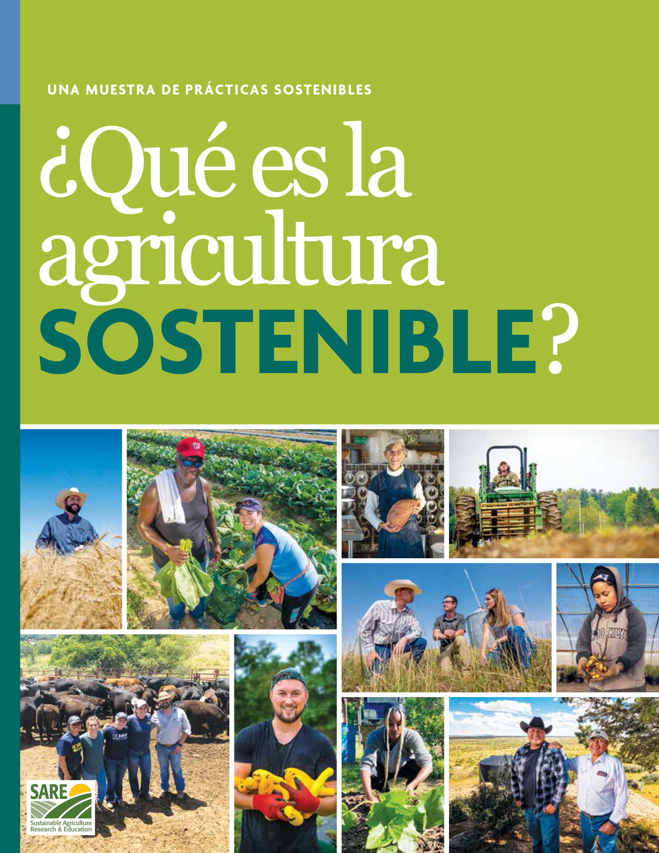 Agricultura Orgánica No Sostenible ANSE Pone En Marcha Un Proyecto