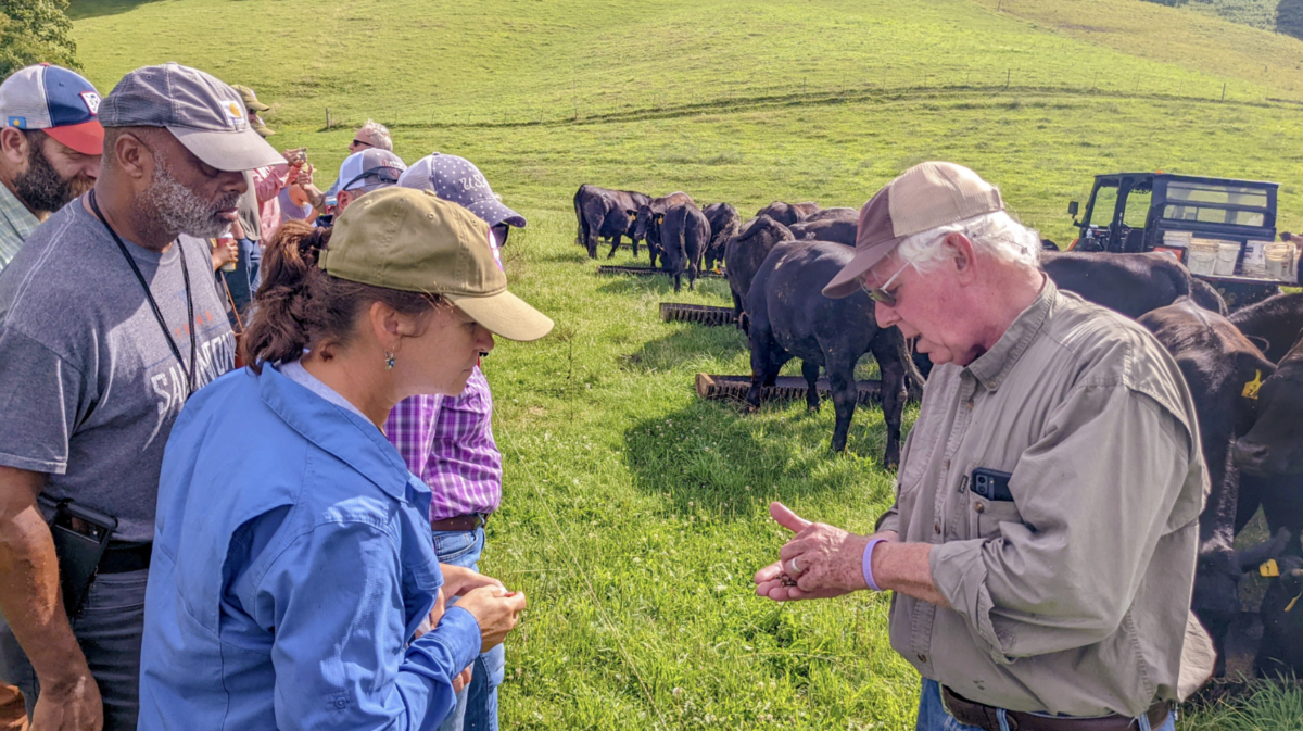 Grazing Networks for Livestock Producers - SARE