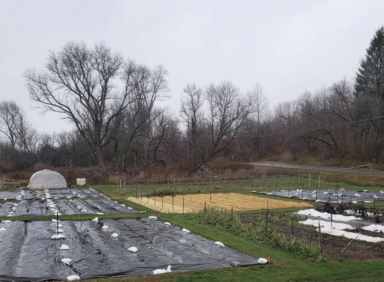 Tarping in the Northeast: A Guide for Small Farms - SARE