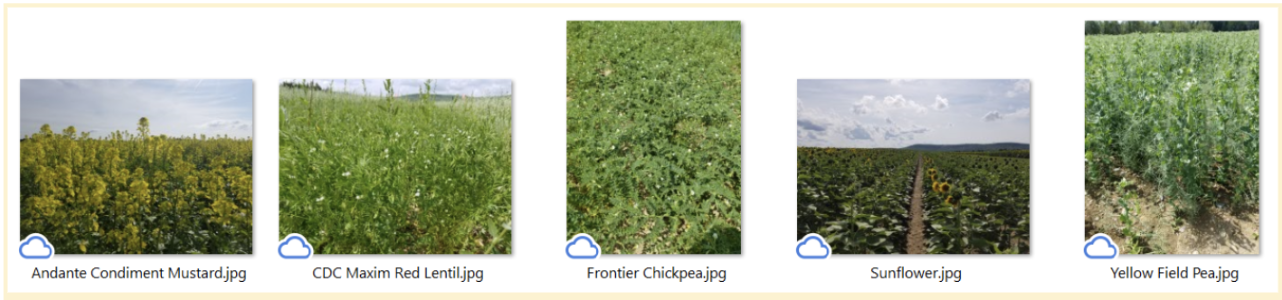 Northeast SARE 2023-2024 - SARE