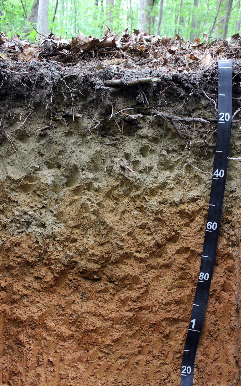 Our Living Soil - SARE