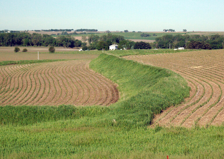 Farming Practices that Support Soil Health - SARE