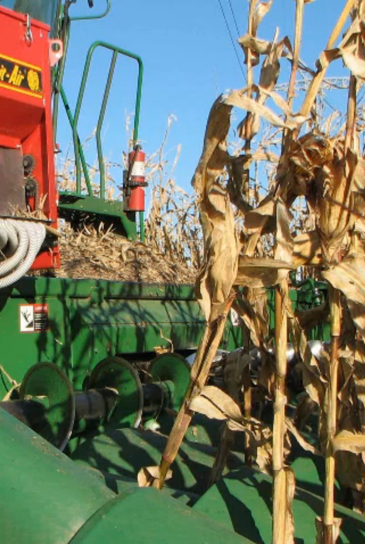 Cover Crops, Soil Health Principles and Maximizing Yields - SARE