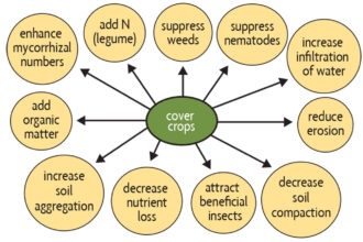 Ch 10. Cover Crops - SARE