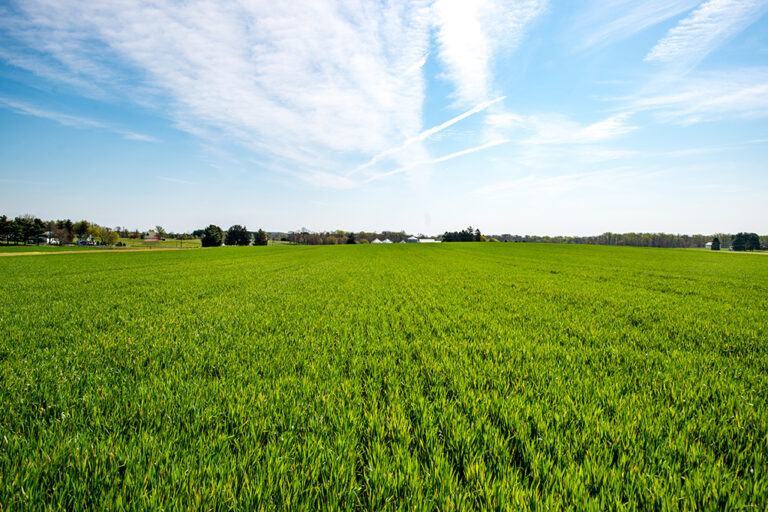 Ch 10. Cover Crops - SARE