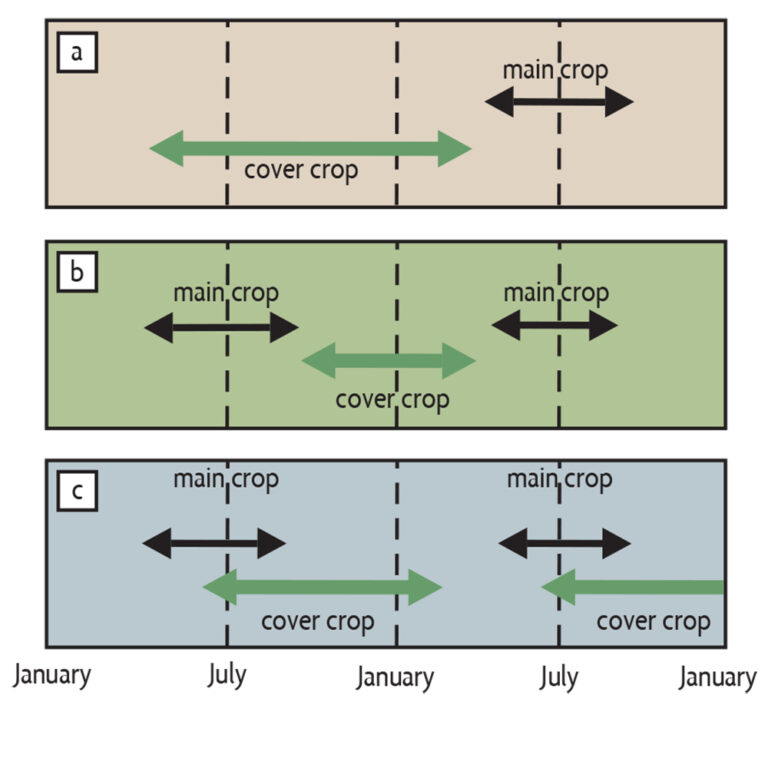 Ch 10. Cover Crops - SARE