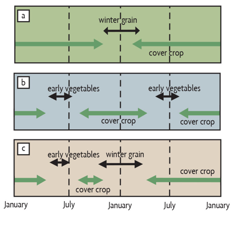Ch 10. Cover Crops - SARE