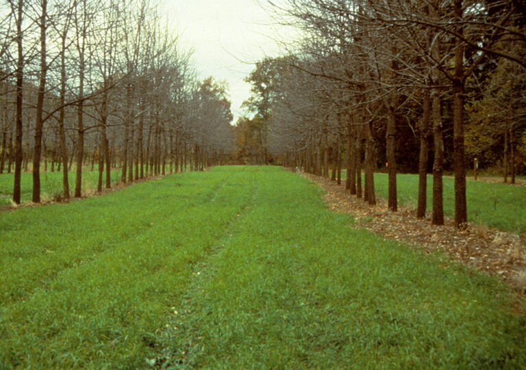 Ch 11. Diversifying Cropping Systems - SARE