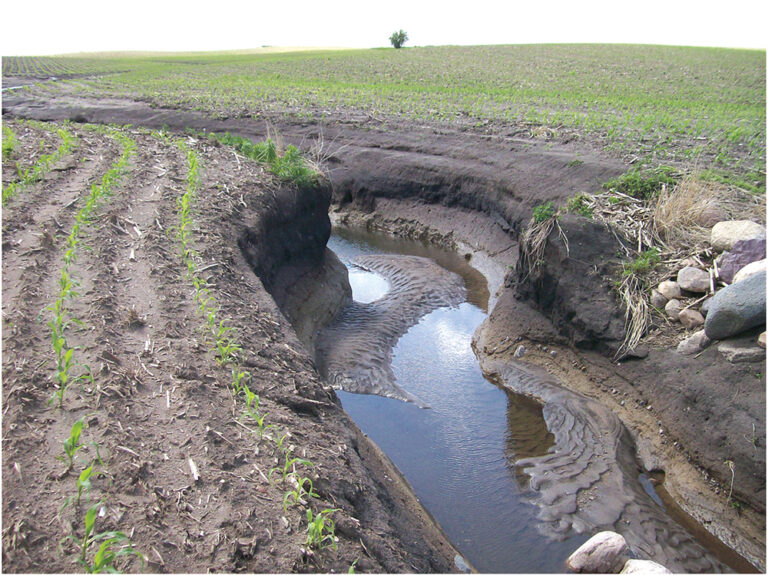 Ch 14. Reducing Runoff and Erosion - SARE