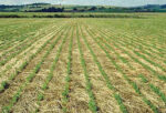 Ch 14. Reducing Runoff and Erosion - SARE