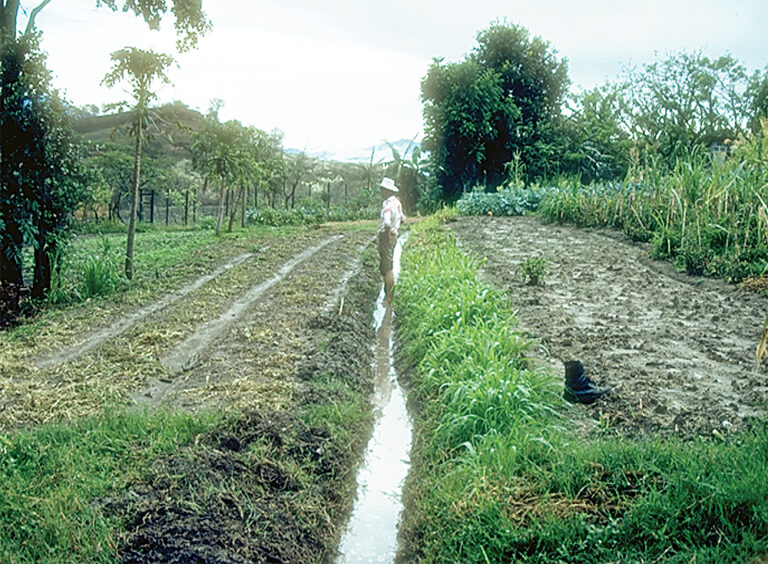 Ch 14. Reducing Runoff and Erosion - SARE