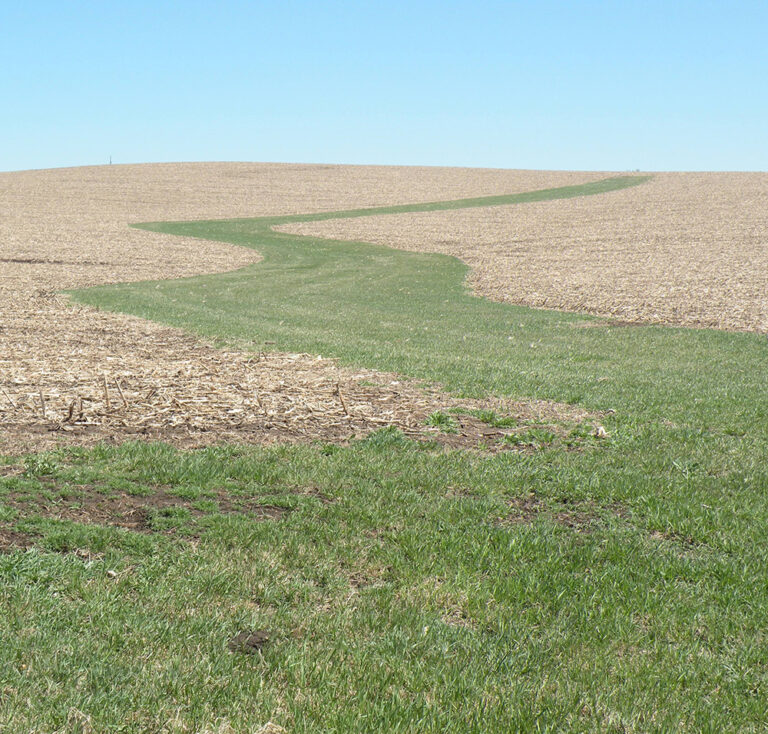 Ch 14. Reducing Runoff and Erosion - SARE