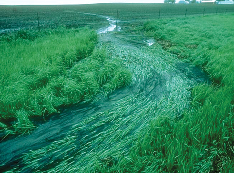 Ch 14. Reducing Runoff and Erosion - SARE