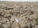 Ch 15. Addressing Compaction - SARE