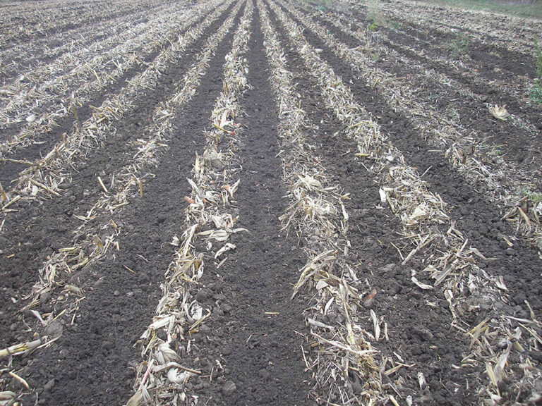 Ch 16. Minimizing Tillage - SARE