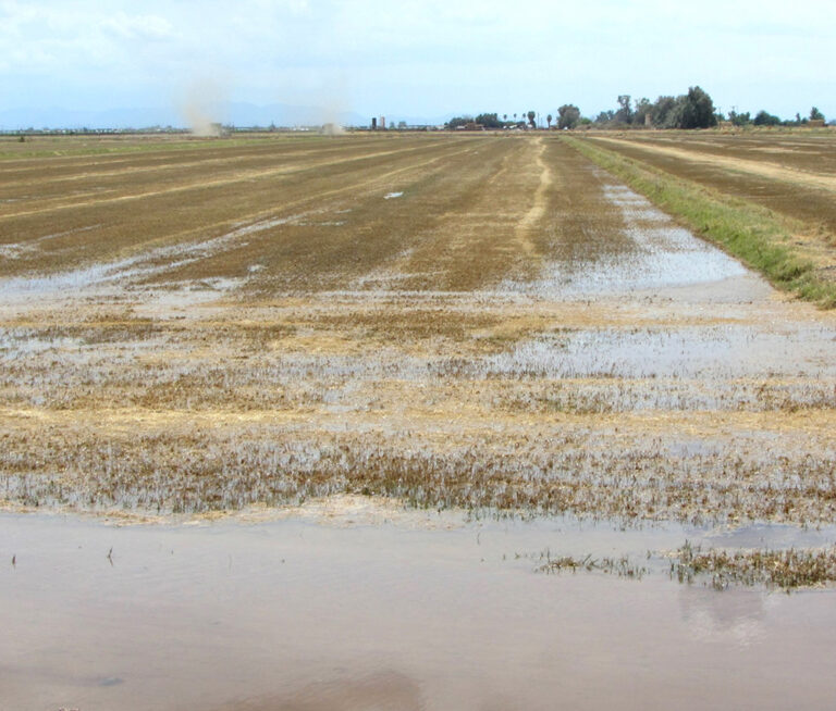Ch 17. Managing Water: Irrigation and Drainage - SARE