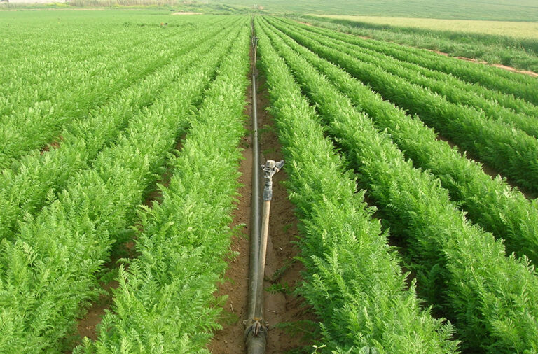 Ch 17. Managing Water: Irrigation and Drainage - SARE