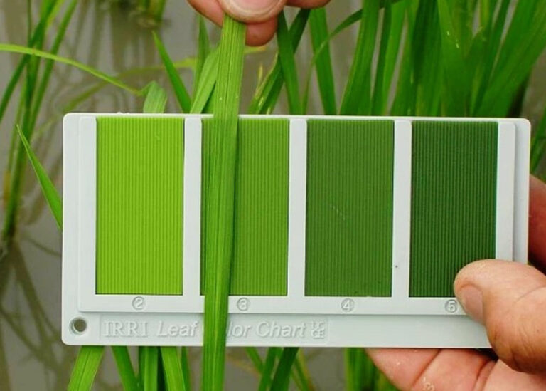 Ch 21. Analyzing Your Soil and Crop - SARE