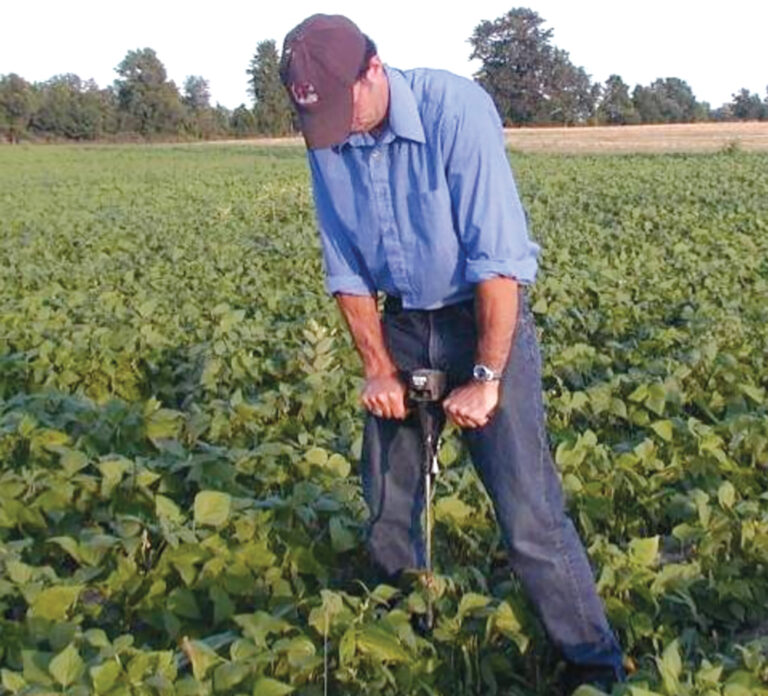 Ch 23. How Good Are Your Soils? - SARE