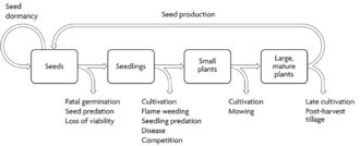 Ch 2. How to Think About Weeds - SARE