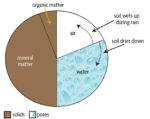 Ch 5. Soil Particles, Water and Air - SARE