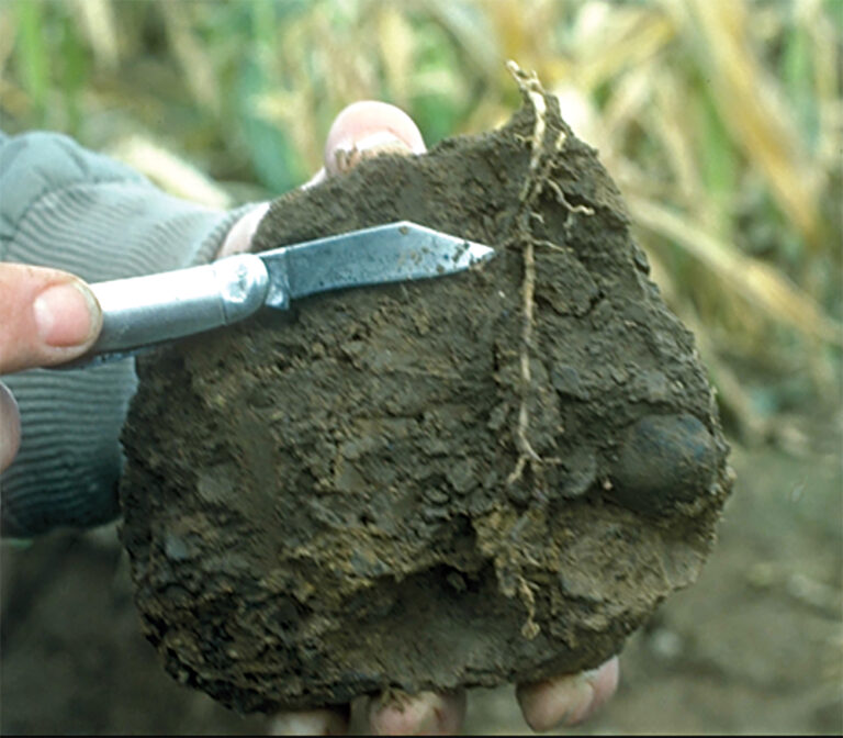 Ch 5. Soil Particles, Water and Air - SARE