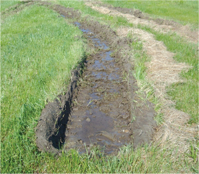 Ch 6. Soil Degradation: Erosion, Compaction, and Contamination - SARE