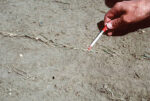 Ch 6. Soil Degradation: Erosion, Compaction, and Contamination - SARE