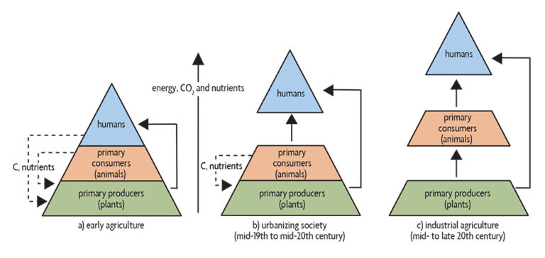 Ch 7. Carbon and Nutrient Cycles and Flows - SARE