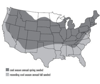 Subterranean Clover - SARE